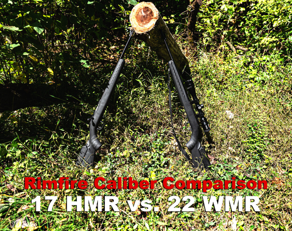 17 HMR vs 22 WMR - Rimfire Caliber Comparison