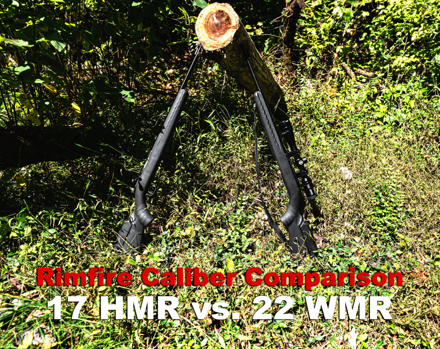 17 HMR vs 22 WMR - Rimfire Caliber Comparison
