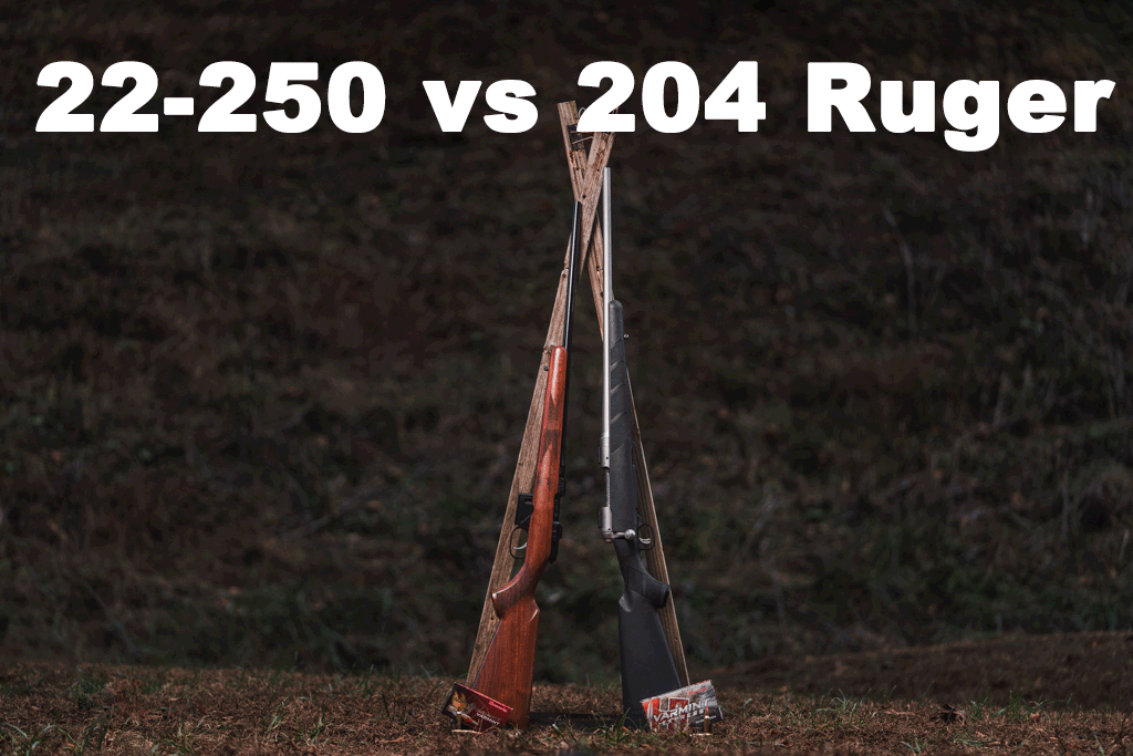 22-250 vs 204 Ruger - The Lodge at AmmoToGo.com