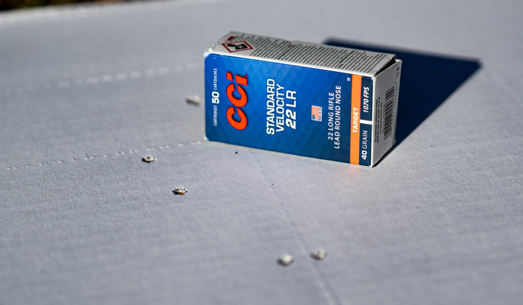 22 WMR vs. 22 LR - A Rimfire Cartridge Comparison