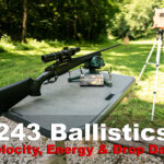 Ballistic Chart & Data - Velocity, Energy and Drop Data