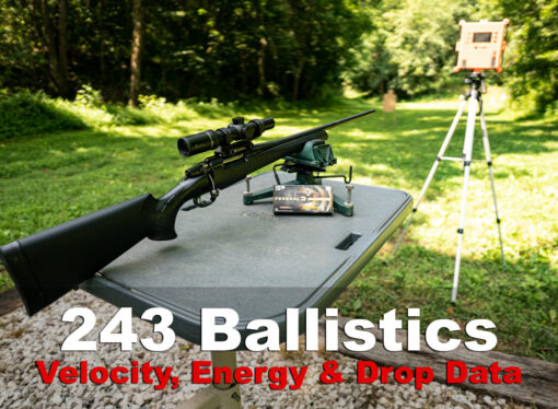 Ballistic Chart & Data - Velocity, Energy and Drop Data