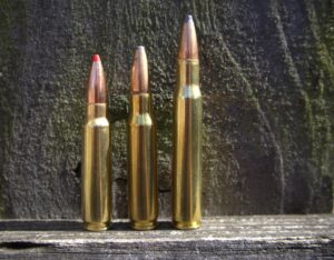 The .300 Savage Cartridge: History, Usage, and Ballistics - The Lodge ...