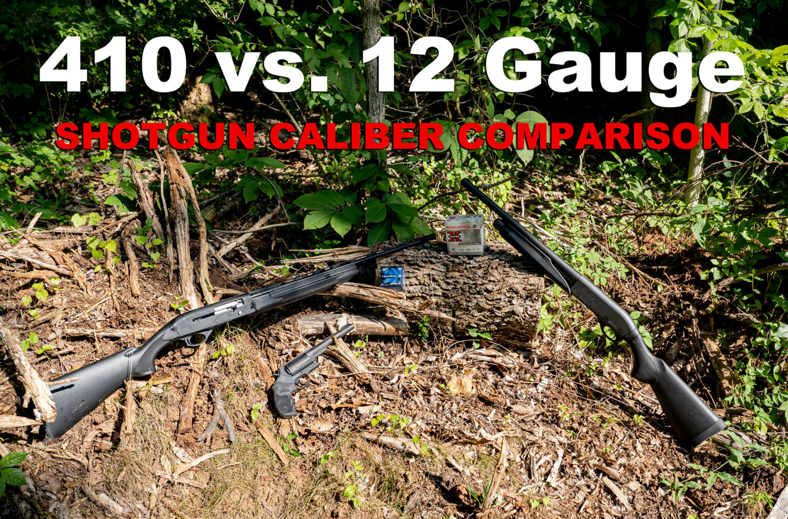 410 vs 12 Gauge - The Lodge at AmmoToGo.com