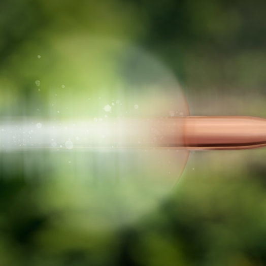 Soft Point Bullets - What Are They & Why Use Them?