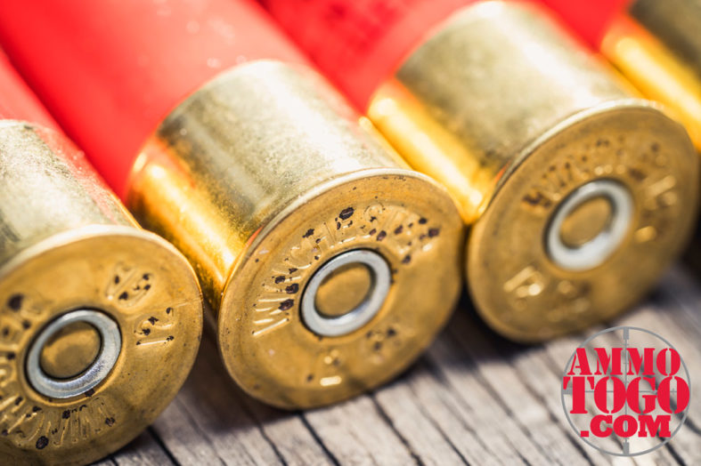 Centerfire vs. Rimfire Ammo - A Primer on Primers