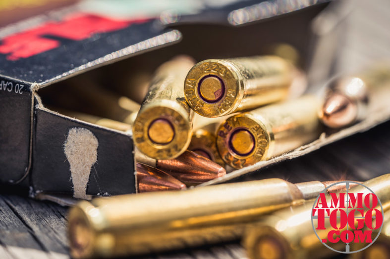 Centerfire vs. Rimfire Ammo - A Primer on Primers