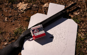 Birdshot vs. Buckshot - Best Home Defense Option