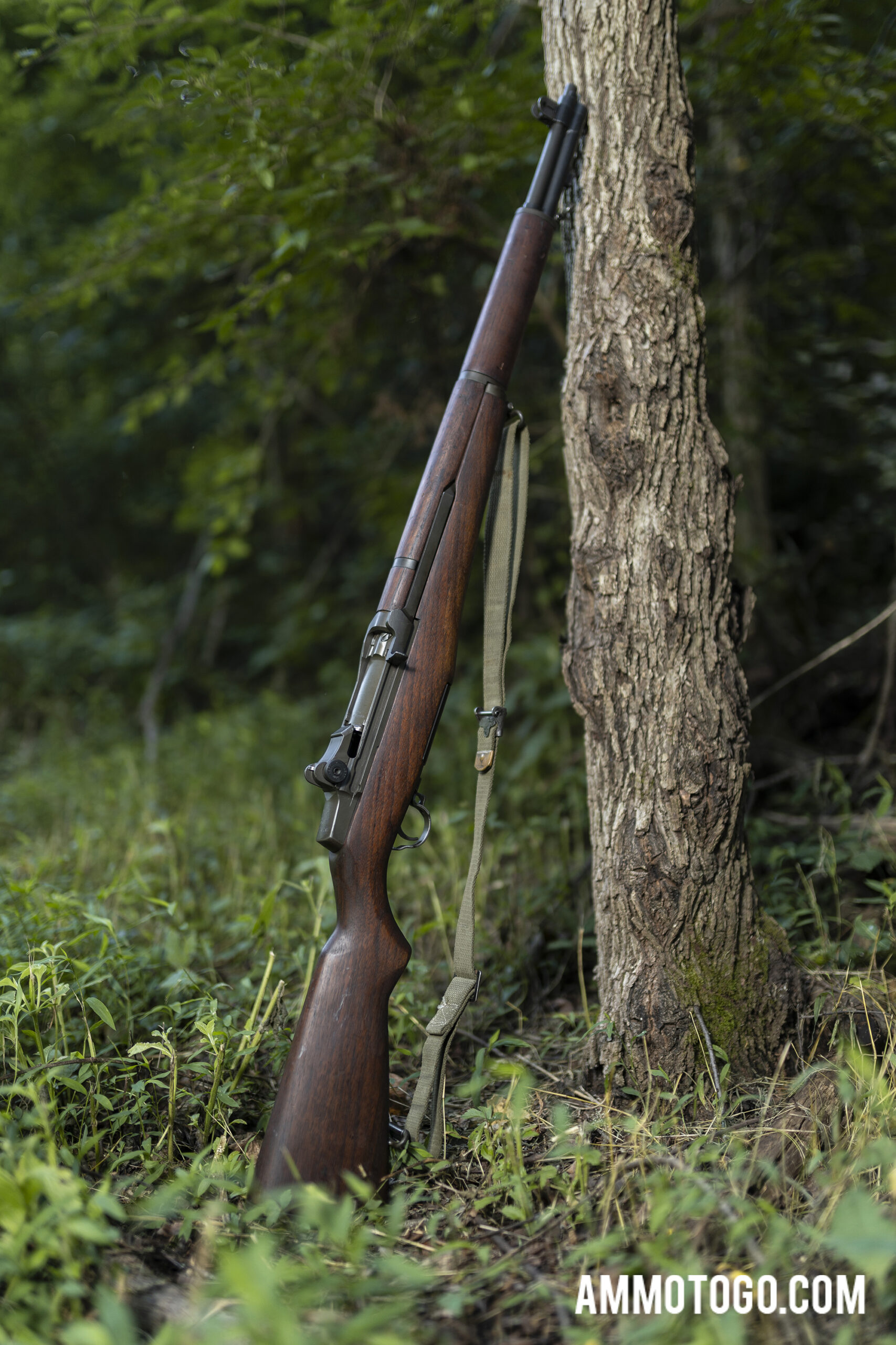 30-30 vs. 30-06 - What's Better & What Are The Differences?