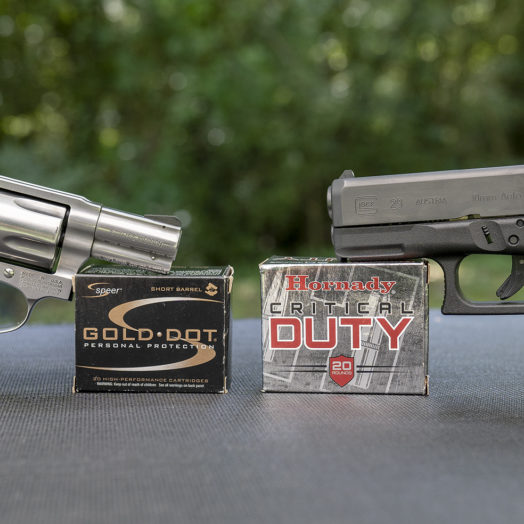 22 WMR vs. 22 LR - A Rimfire Cartridge Comparison
