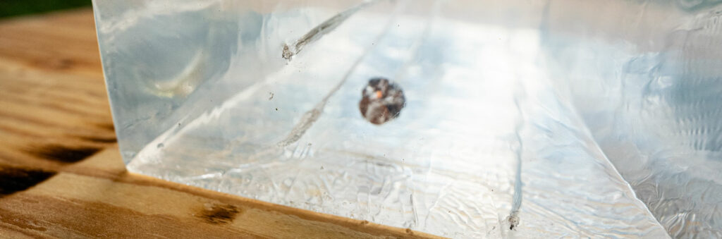 FMJ vs. JHP - What Bullet & Ammo Is Best For You?