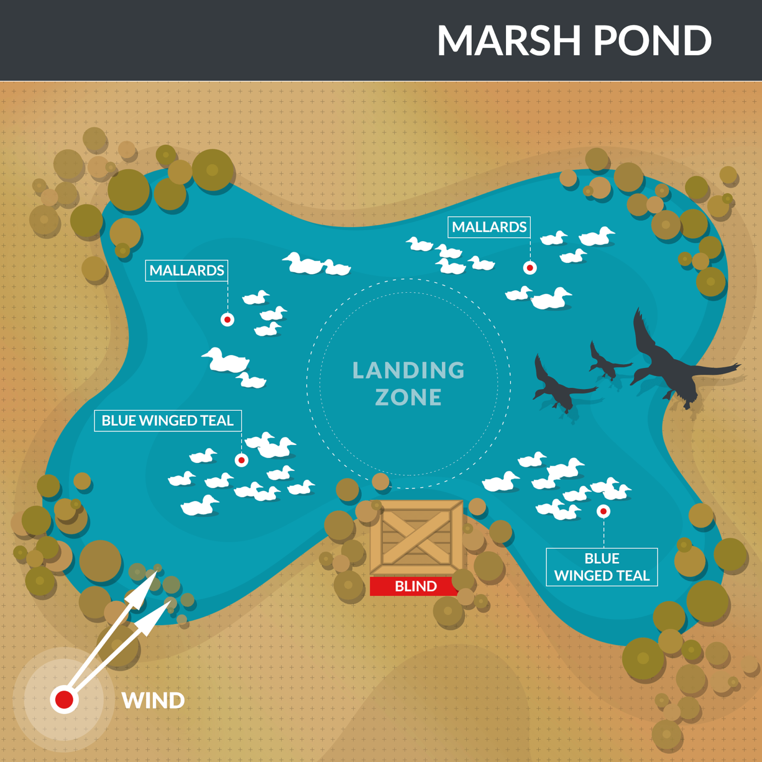 Where to Place Your Duck Decoys - Hunting Tips and Tactics
