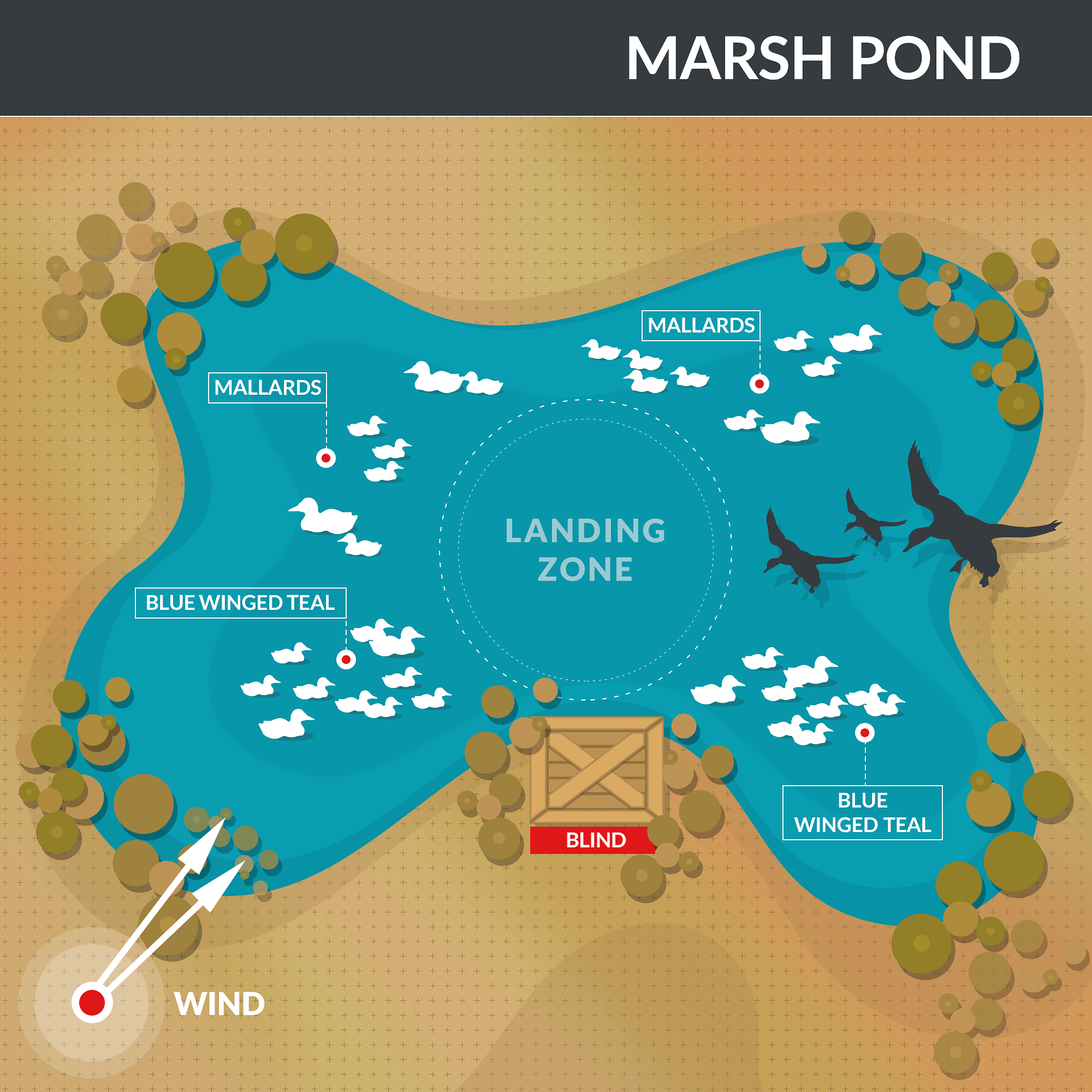 Where to Place Your Duck Decoys - Hunting Tips and Tactics