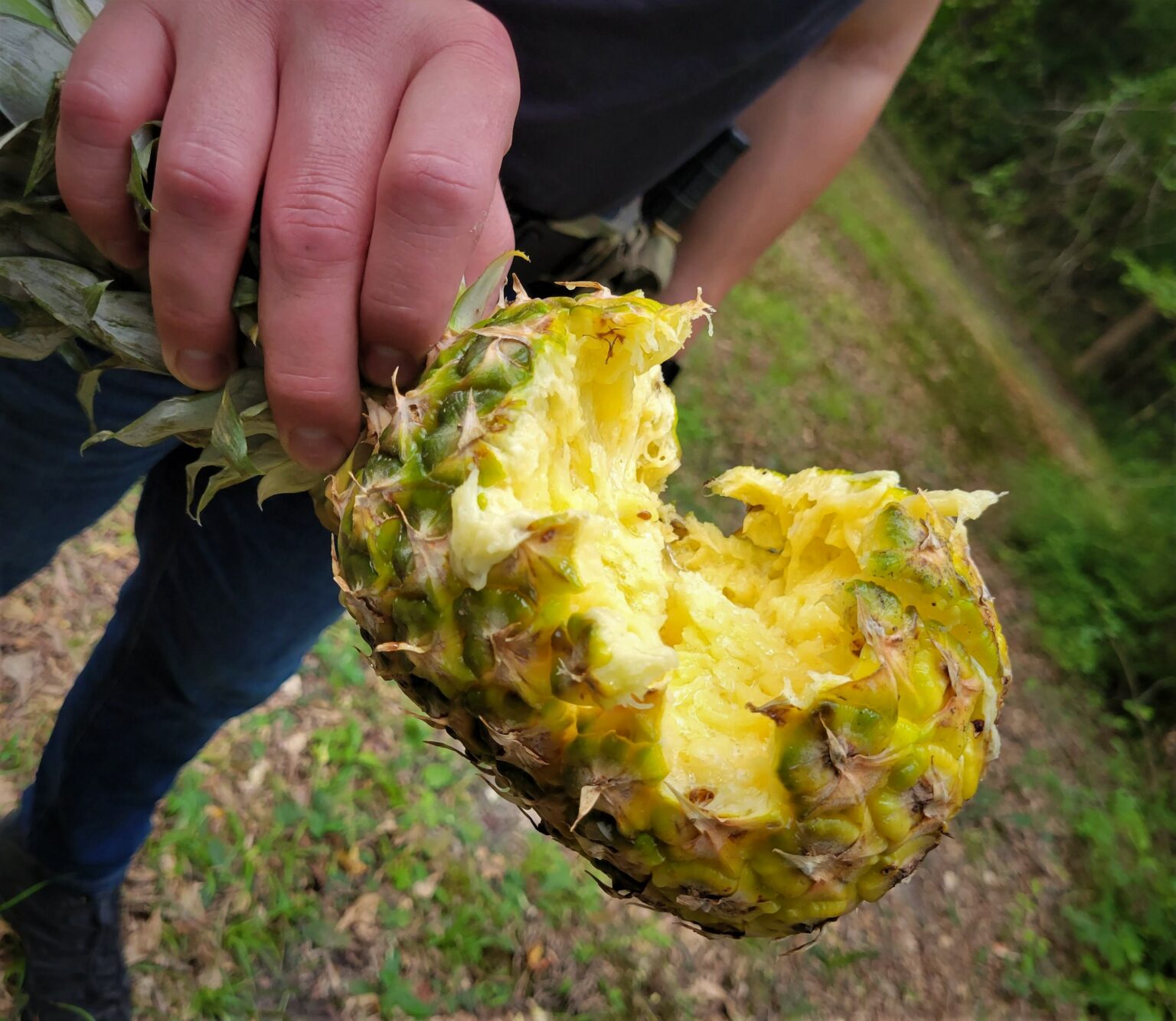 Fiocchi Ammo Review - The Lodge at AmmoToGo.com