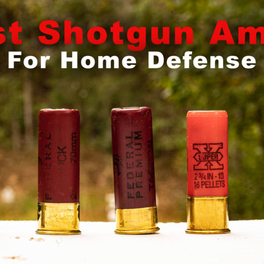 Birdshot vs. Buckshot - Best Home Defense Option