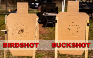 Birdshot vs. Buckshot - Best Home Defense Option