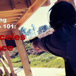 The Weaver Stance - What It Is and How it Works