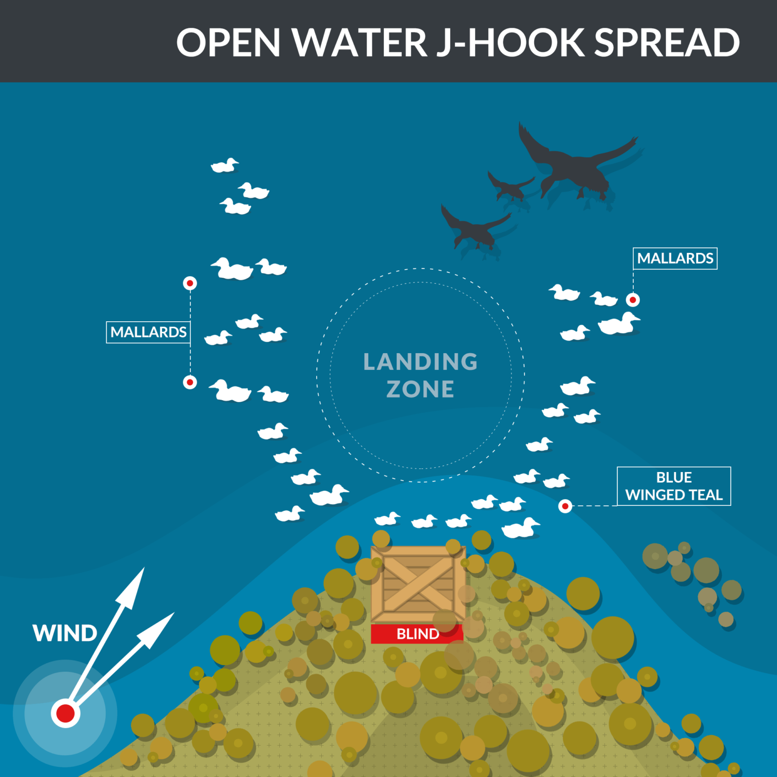 Where to Place Your Duck Decoys - Hunting Tips and Tactics