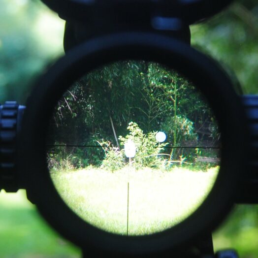 Scope Magnification - What the Numbers Mean and How to Use Them
