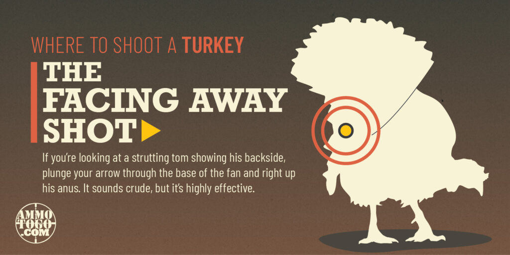 Where To Shoot A Turkey - A Guide for Hunters
